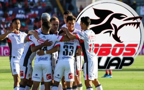 Lobos Buap recibe sus espinilleras Elite Protection - Espinilleras ...